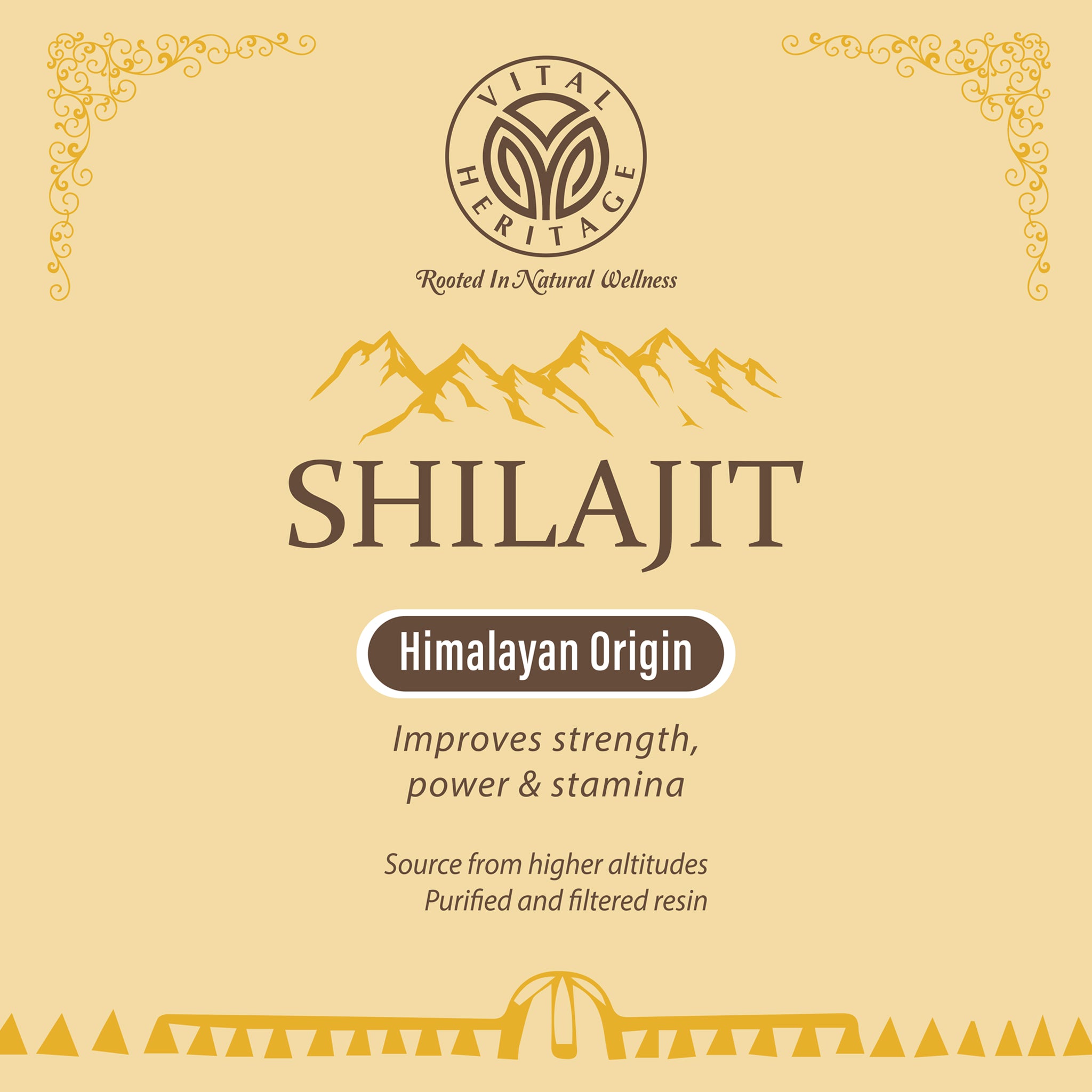 Original Himalayan Shilajit in Dubai, Abu Dhabi, UAE, Sharjah & Ajman ...